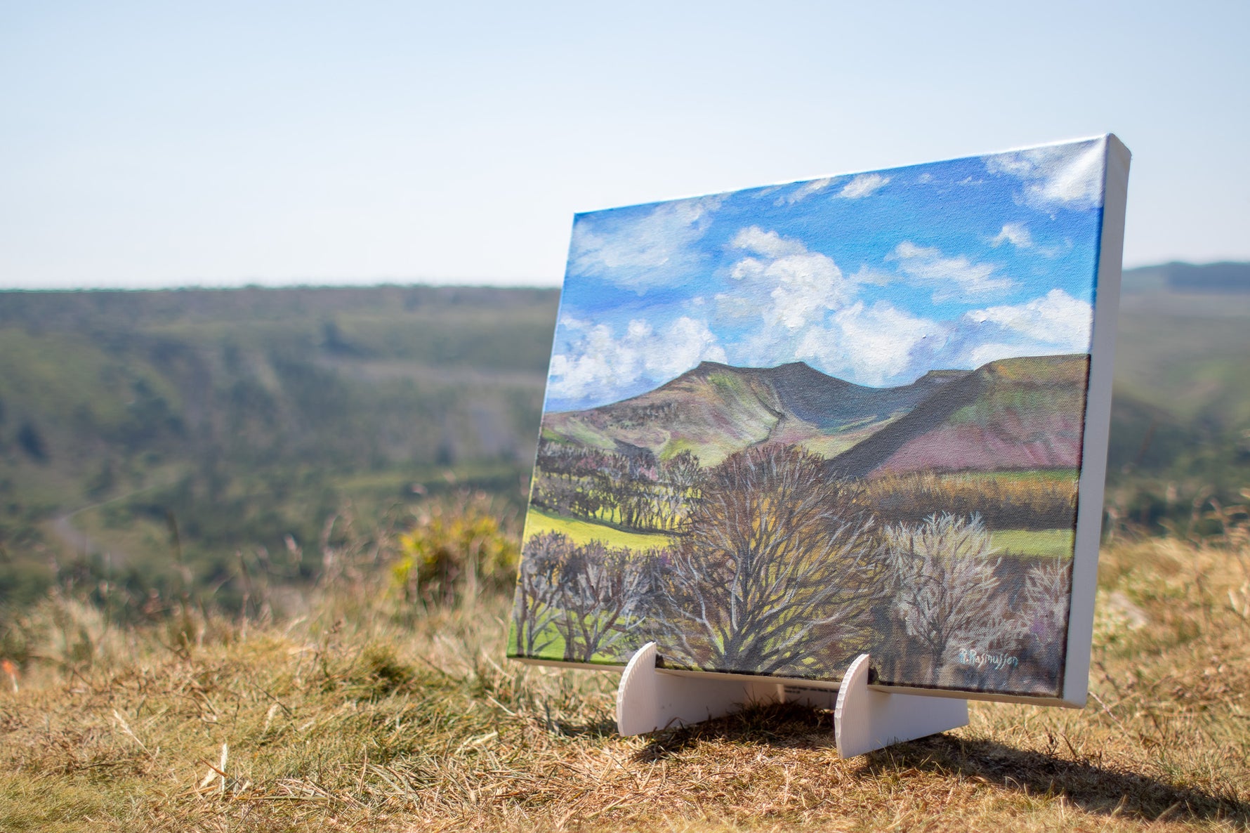 Rachel Rasmussen Art